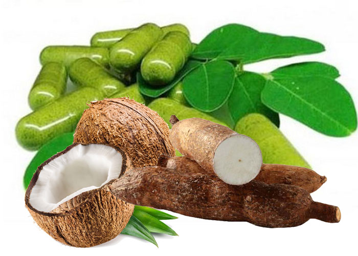 Ceylonagbiz – Ceylon Agbiz (Pvt) Ltd