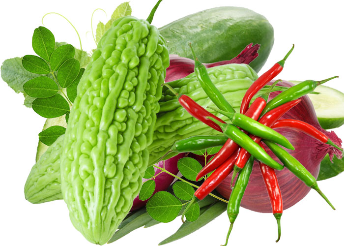 Ceylonagbiz – Ceylon Agbiz (Pvt) Ltd