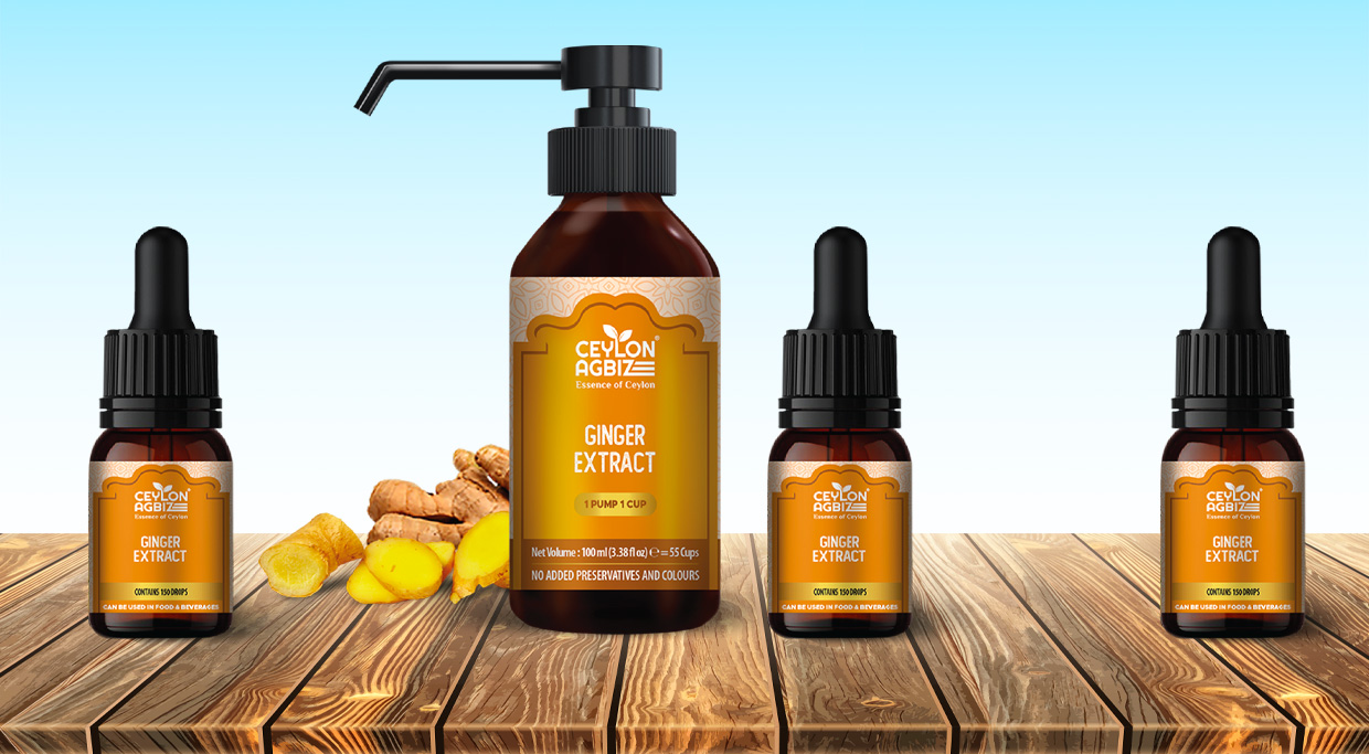 Ceylon Ginger Extract - Ceylonagbiz