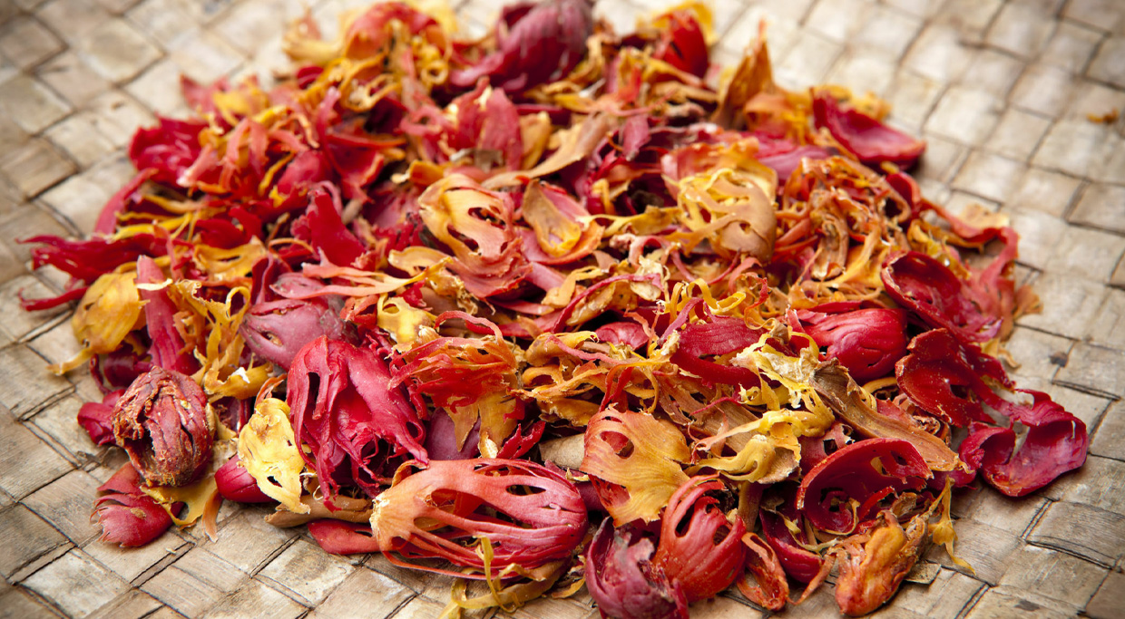 Elevating Culinary Sensations with Ceylon Mace Extract: A Natural Aroma ...